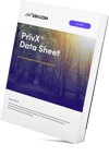 Privileged Access Management Software Datasheet - PrivX | SSH